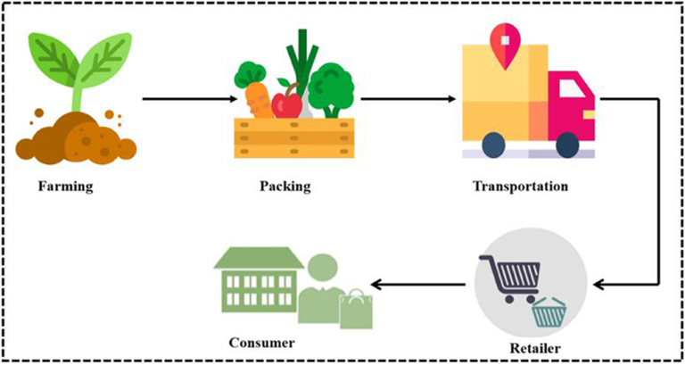 The Food Production Cycle – What is it? – Feed Forward